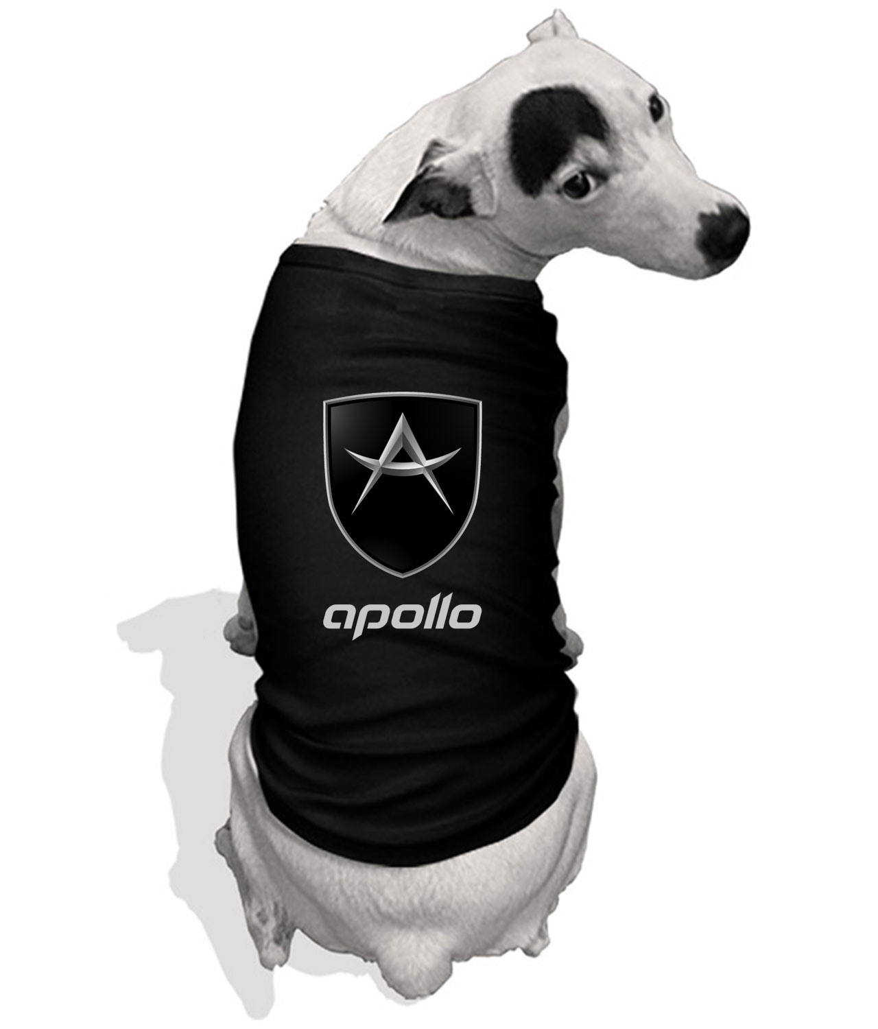 Apollo Automobil 2004 Cars Logo Customized Design on Doggie Puppy Dog ...