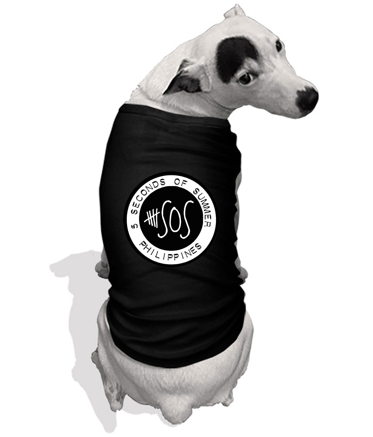 5sos Seconds of Summer 2012 Music Logo Customized Design on Doggie ...